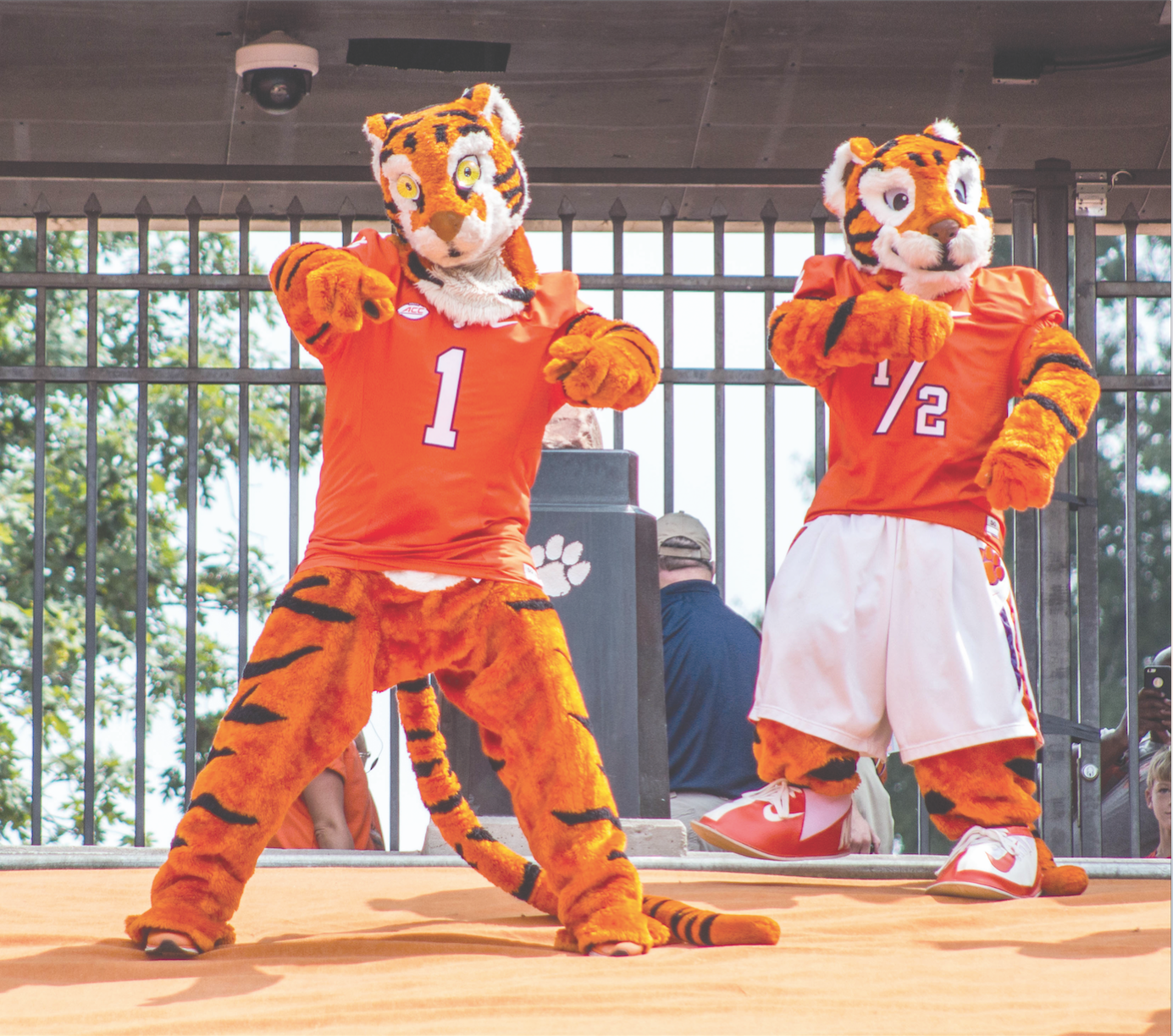 All College Tiger Mascots