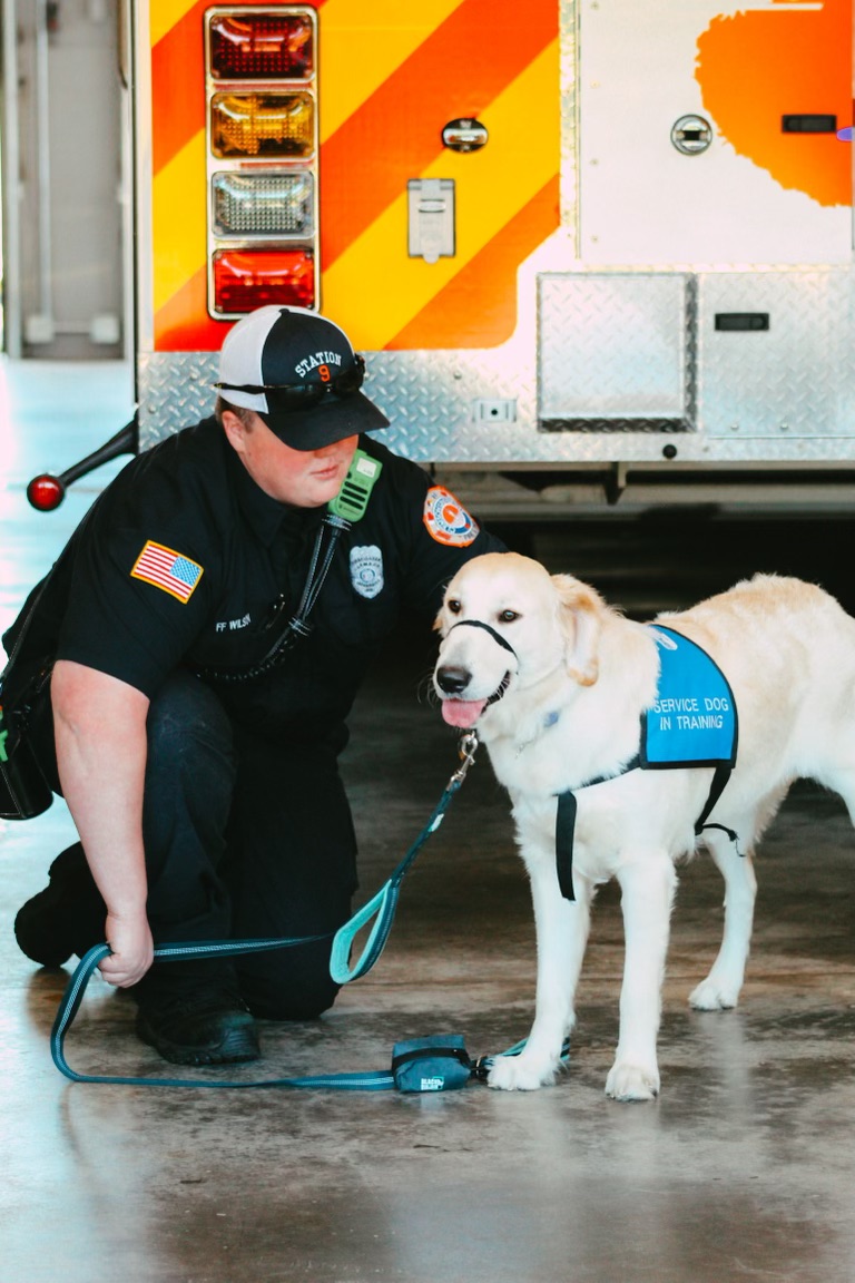 'A great disservice to our veterans': Clemson changes service dog in ...