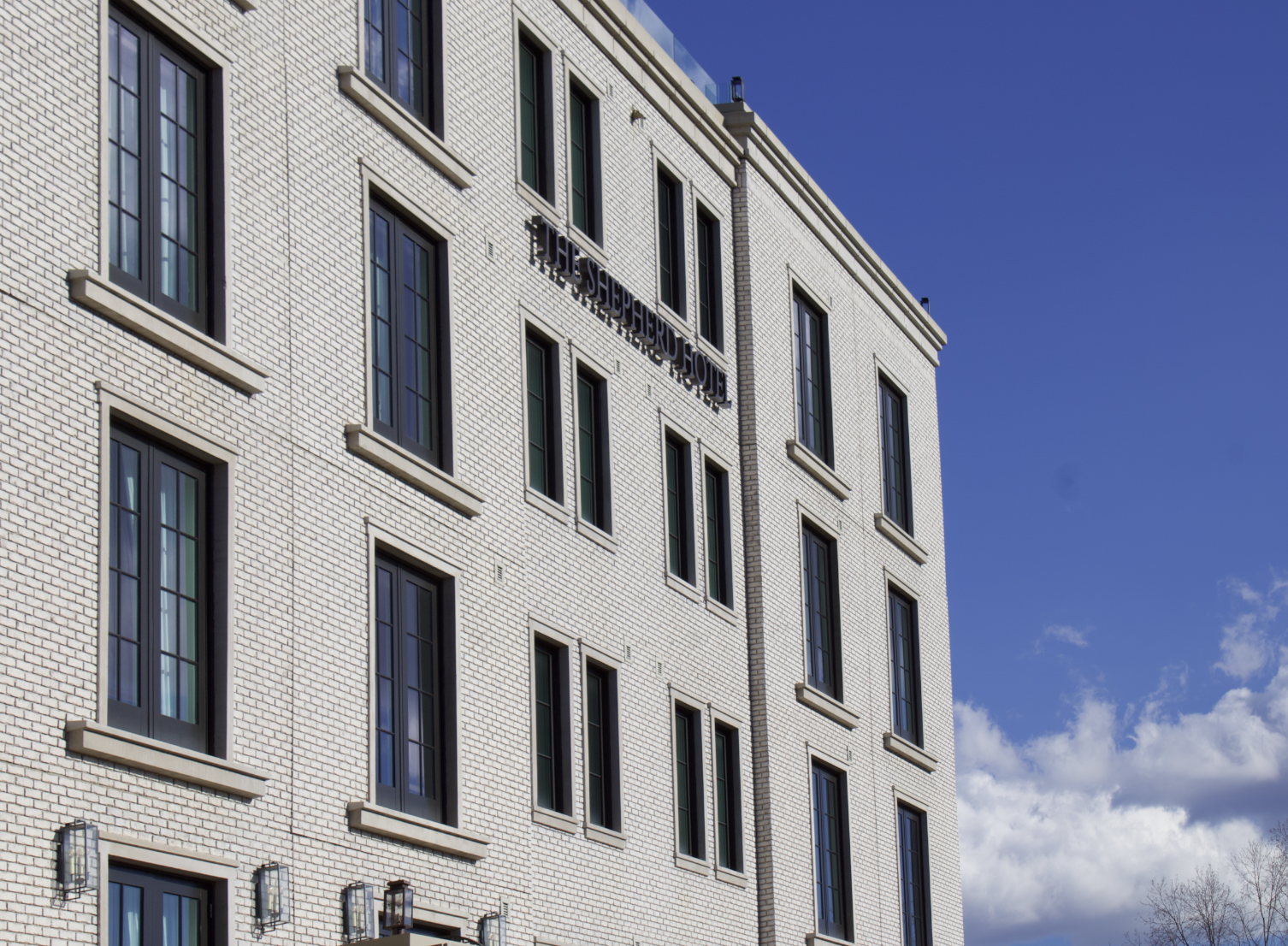 Best Hotel: The Shepherd Hotel - The Tiger